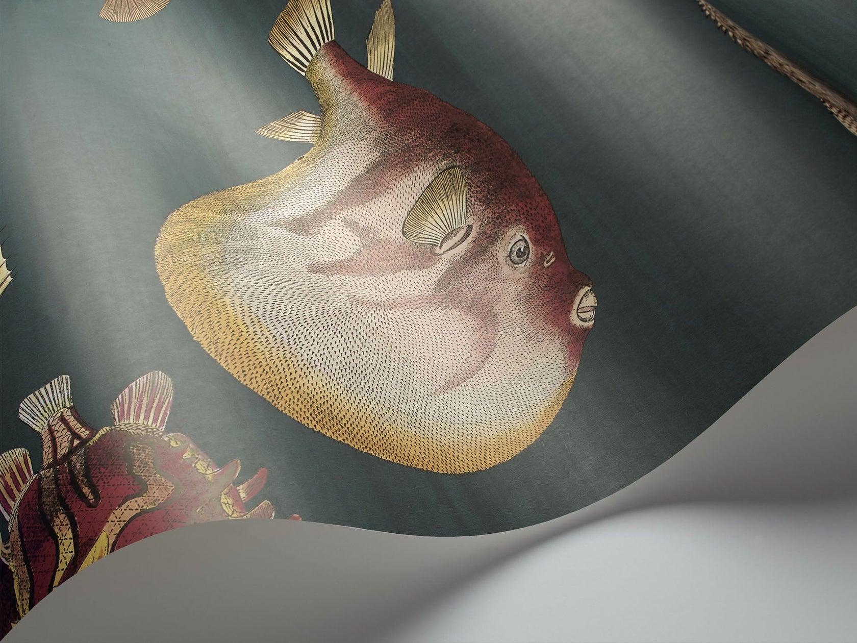 Cole & Son® | Luxury Wallpaper & Fabrics – Cole & Son (Wallpapers) Ltd