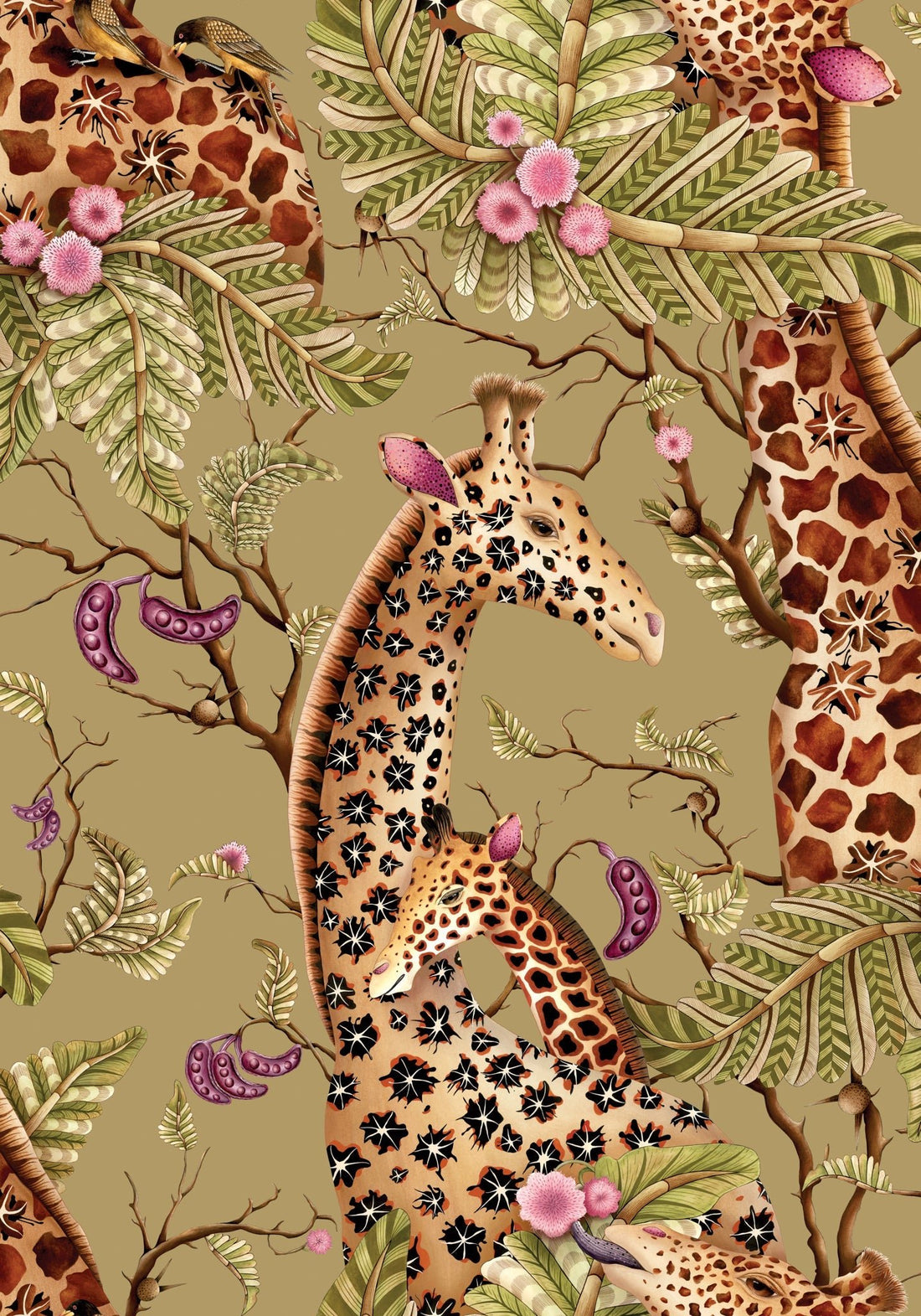 Cole & Son® | Luxury Wallpaper & Fabrics – Cole & Son (Wallpapers) Ltd
