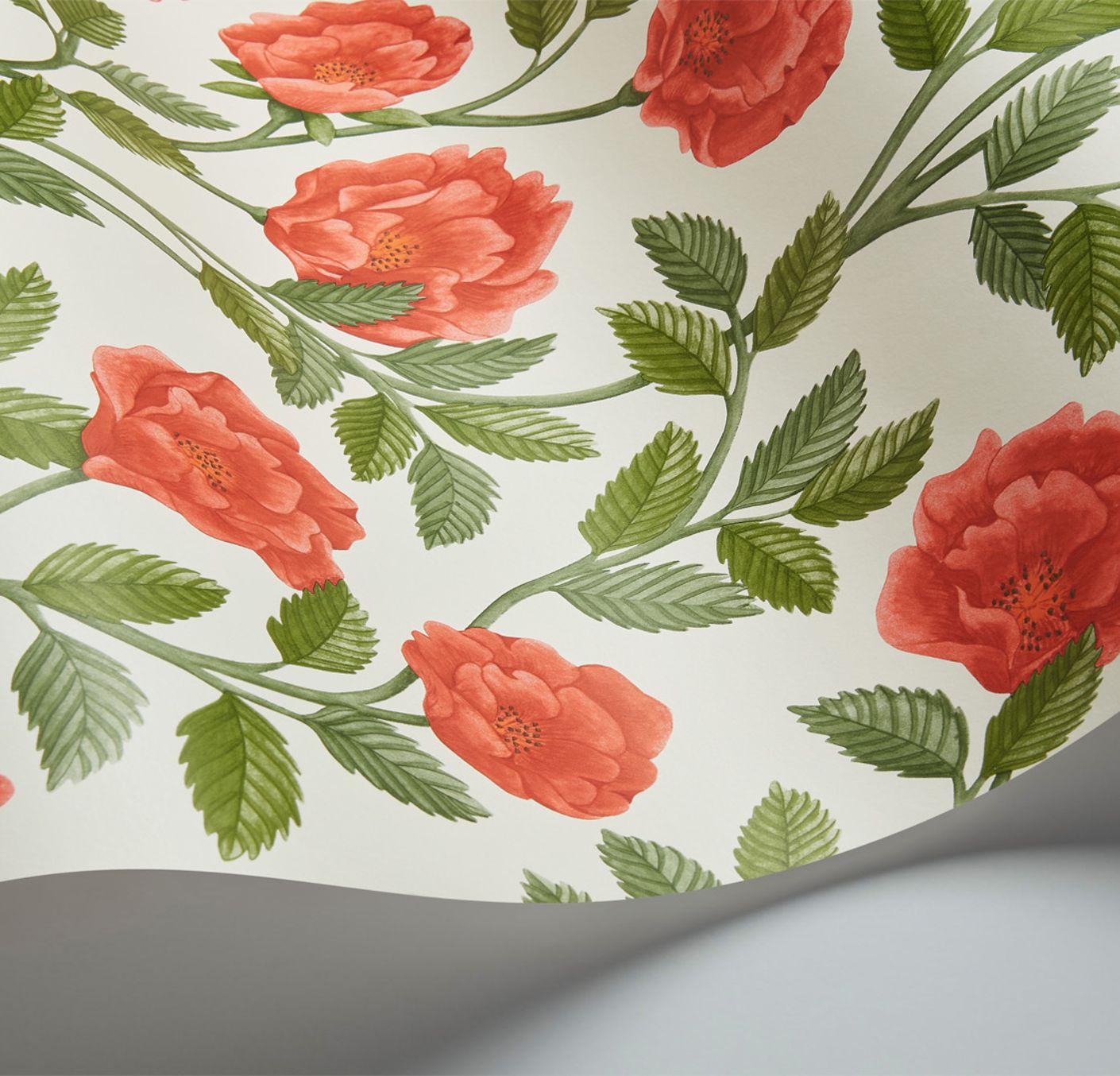 Hampton Roses Wallpaper - Cole & Son – Cole & Son (Wallpapers) Ltd