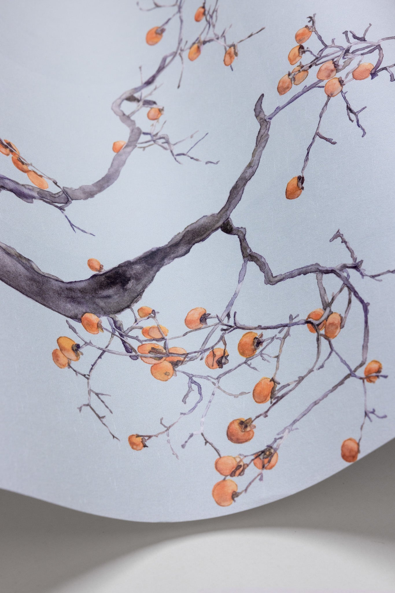 Kaki Persimmon Wallpaper - Cole & Son – Cole & Son (Wallpapers) Ltd