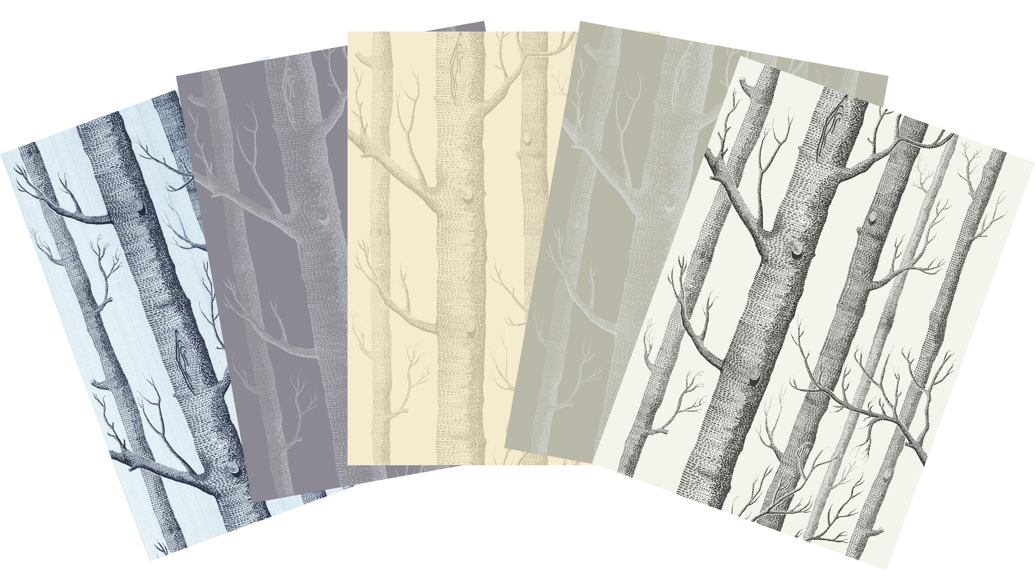 Ardmore – Baobab – Cole & Son (Wallpapers) Ltd