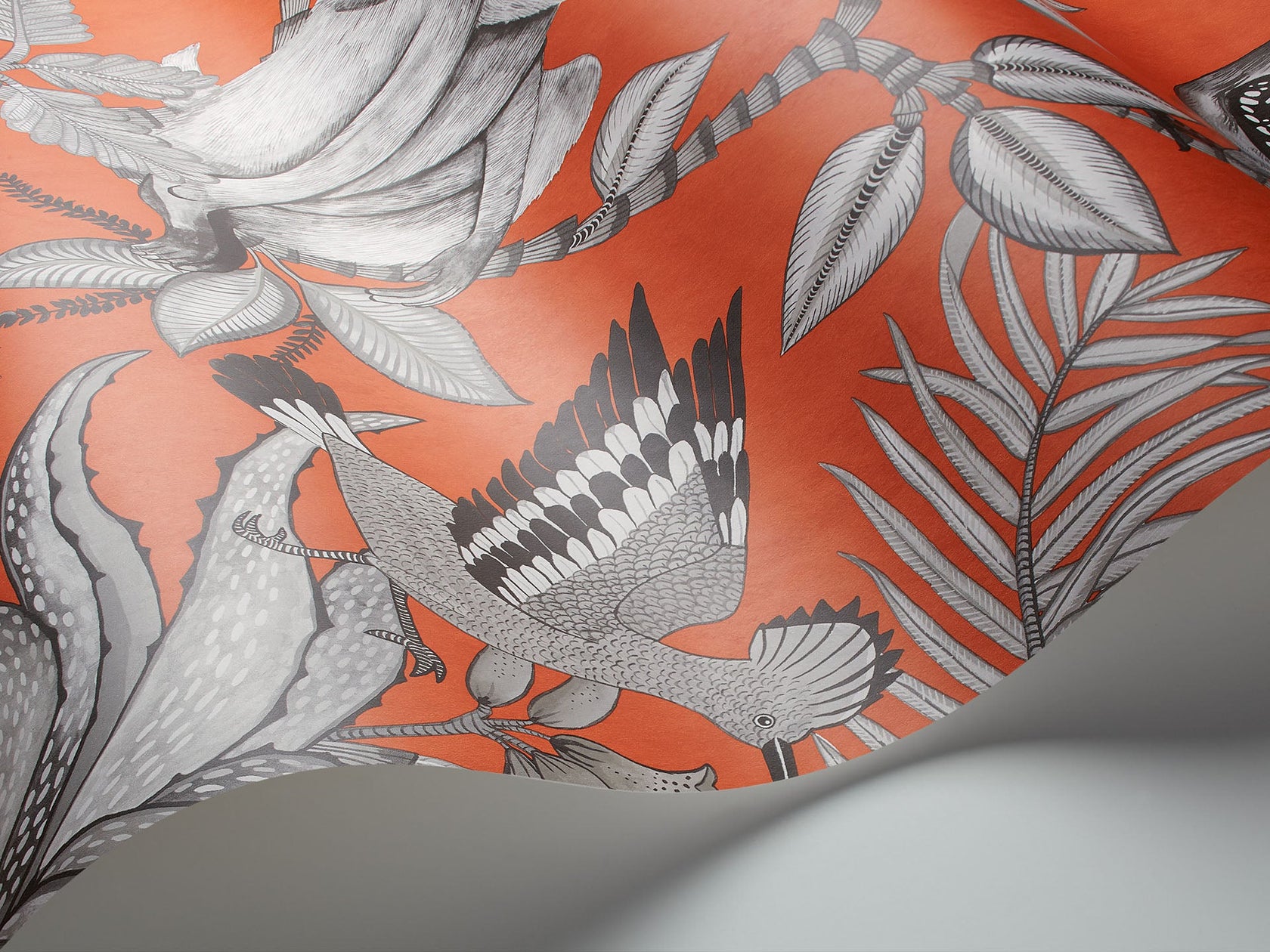 Cole & Son® | Luxury Wallpaper & Fabrics – Cole & Son (Wallpapers) Ltd